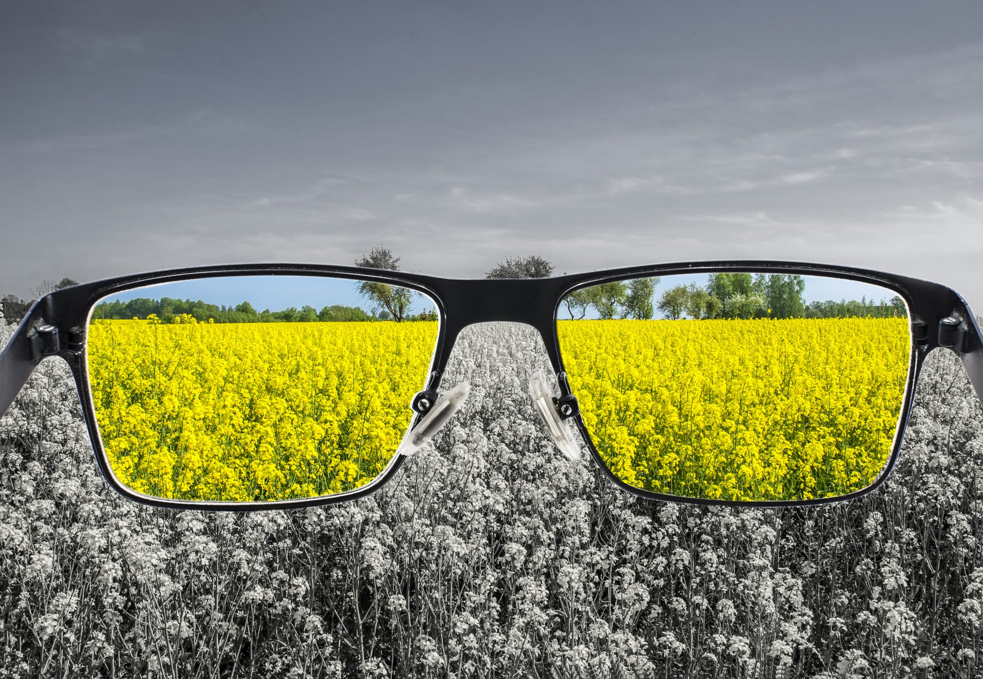 Enchroma Glasses Cost Compared Among Countries Allstealdeals